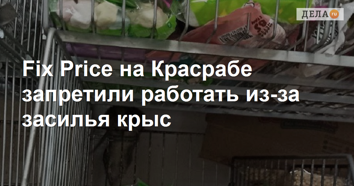 Fix Price на Красрабе запретили работать из-за засилья крыс